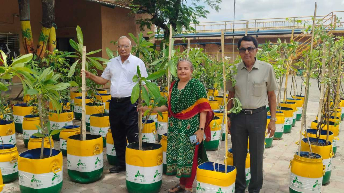 Surat : Pandesara Industrial Groups Launch Greenery Campaign in GIDC ...