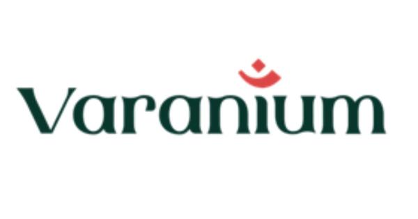 Varanium Cloud reports Consolidated Net Profit of Rs. 87.68 crore in ...